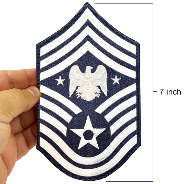 Senior Enlisted Advisor to National Guard Bureau (Eagle Looking Right ...